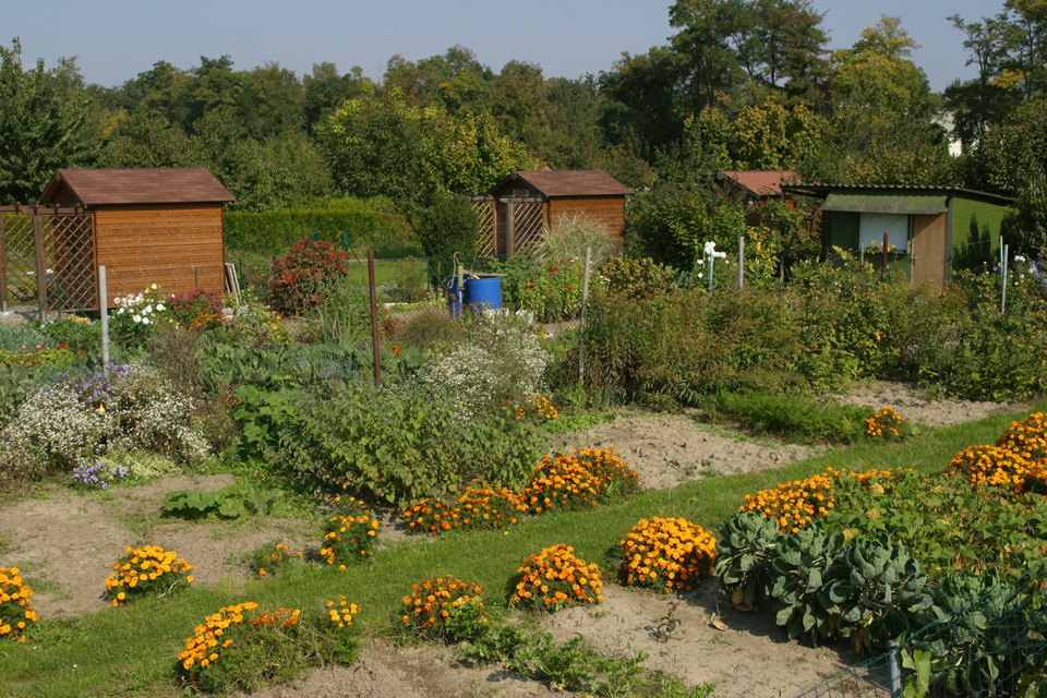 Jardins familiaux à Illkirch-Graffenstaden