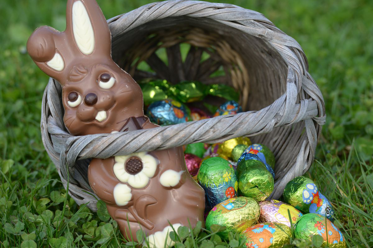 Nouvel Espace Parents 2021 à Illkirch-Graffenstaden