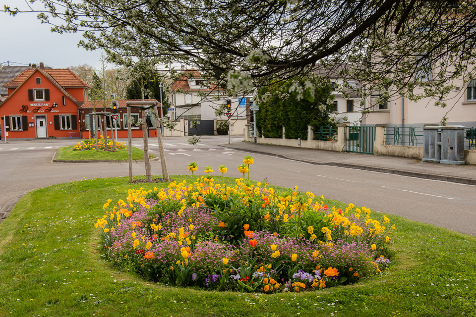 fleurissement-a-illkirch-graffenstaden-3